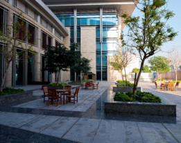 Mohammed Bin Rashid University Of Medicine and Health Sciences | MBRU