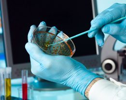 Mohammed Bin Rashid University Of Medicine and Health Sciences | MBRU