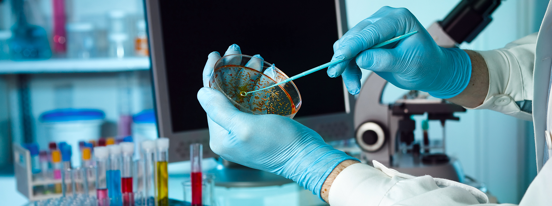 Research at MBRU | MBRU