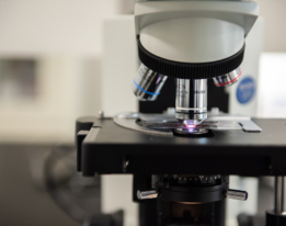 Mohammed Bin Rashid University Of Medicine and Health Sciences | MBRU