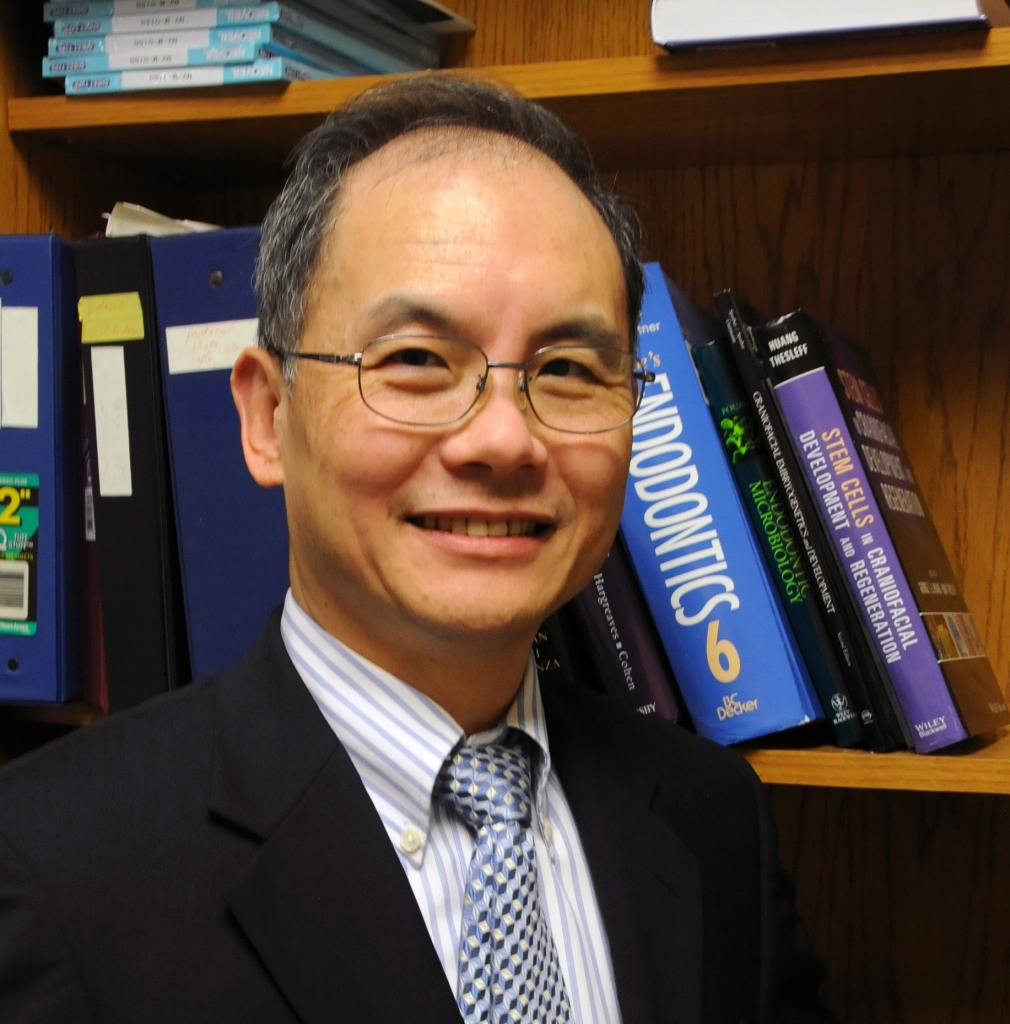 Conservative vs regenerative endodontics – from animal studies to ...