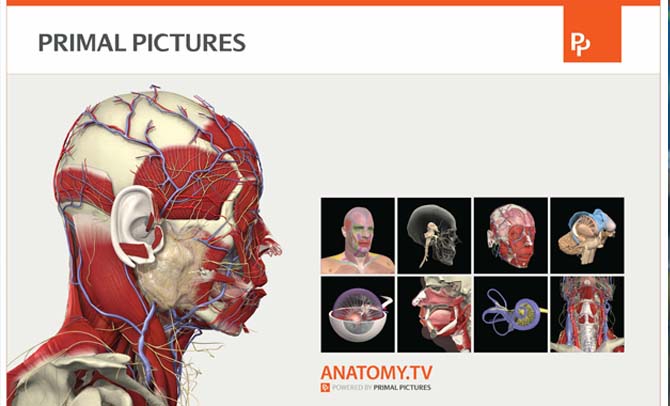 Primal Pictures Database is now Available on Trial - MBRU